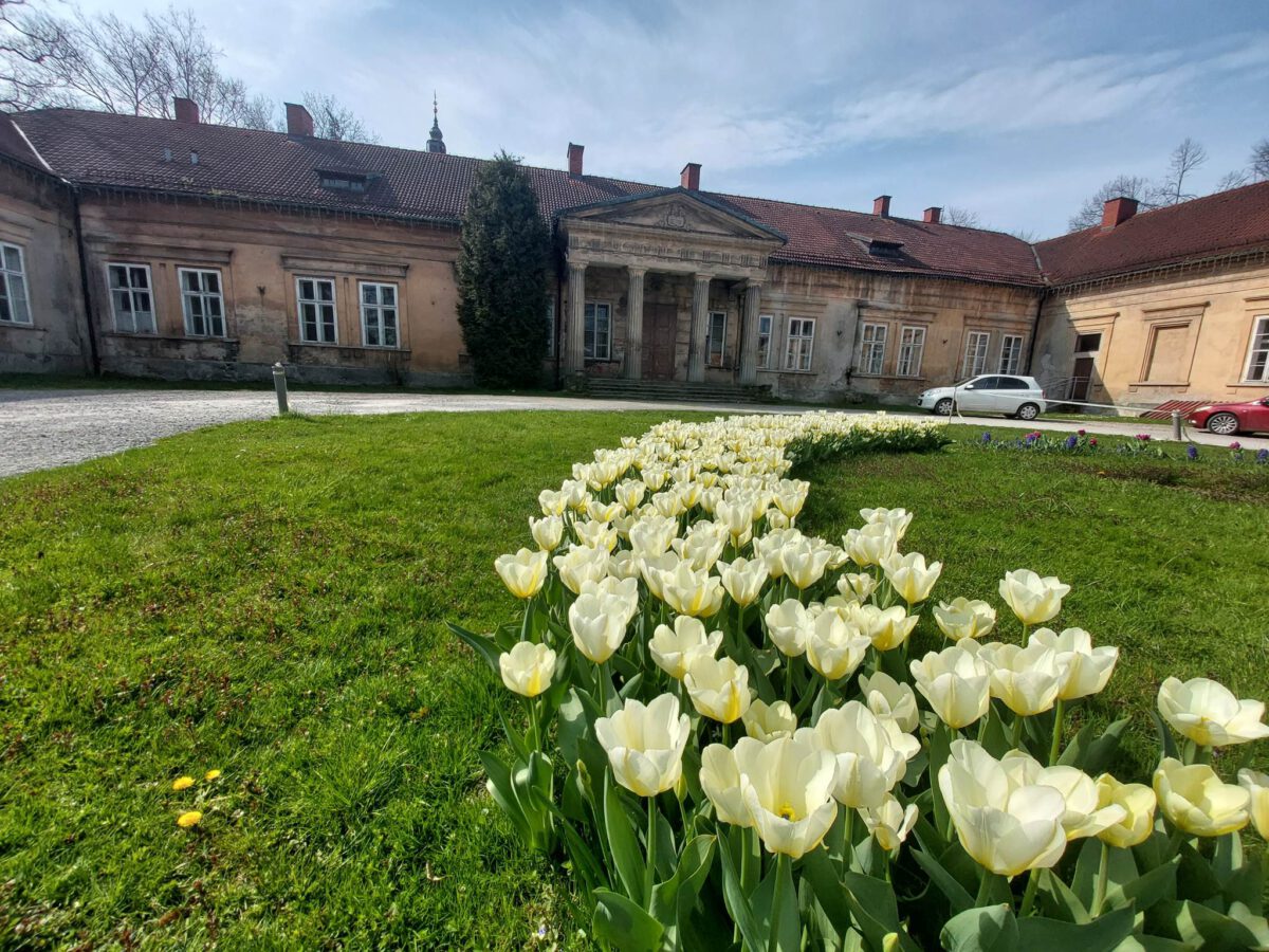 Wiosenna rabata w barwach narodowych Polski oraz Ukrainy - Radio Andrychów