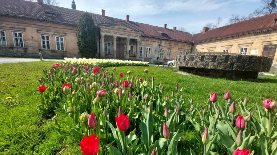 Wiosenna rabata w barwach narodowych Polski oraz Ukrainy - Radio Andrychów