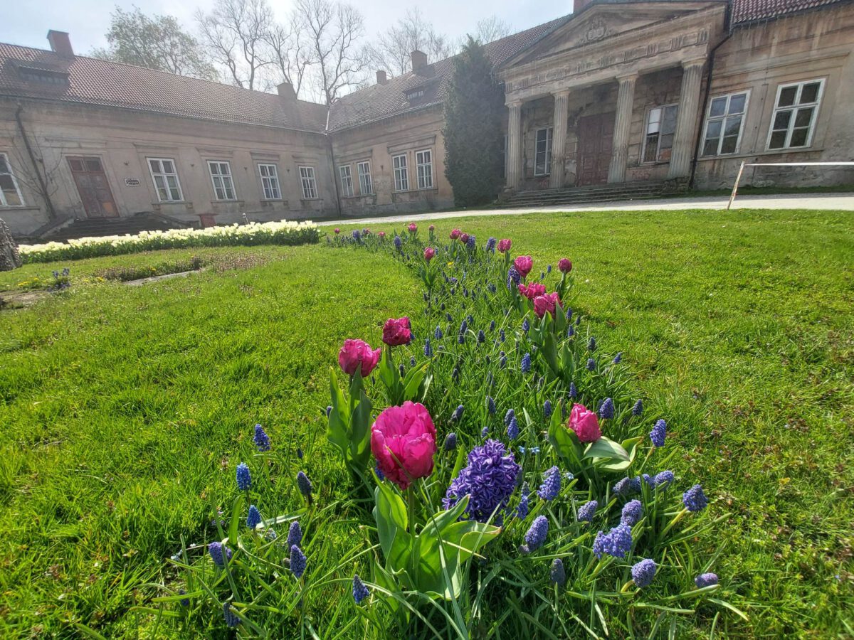 Wiosenna rabata w barwach narodowych Polski oraz Ukrainy - Radio Andrychów